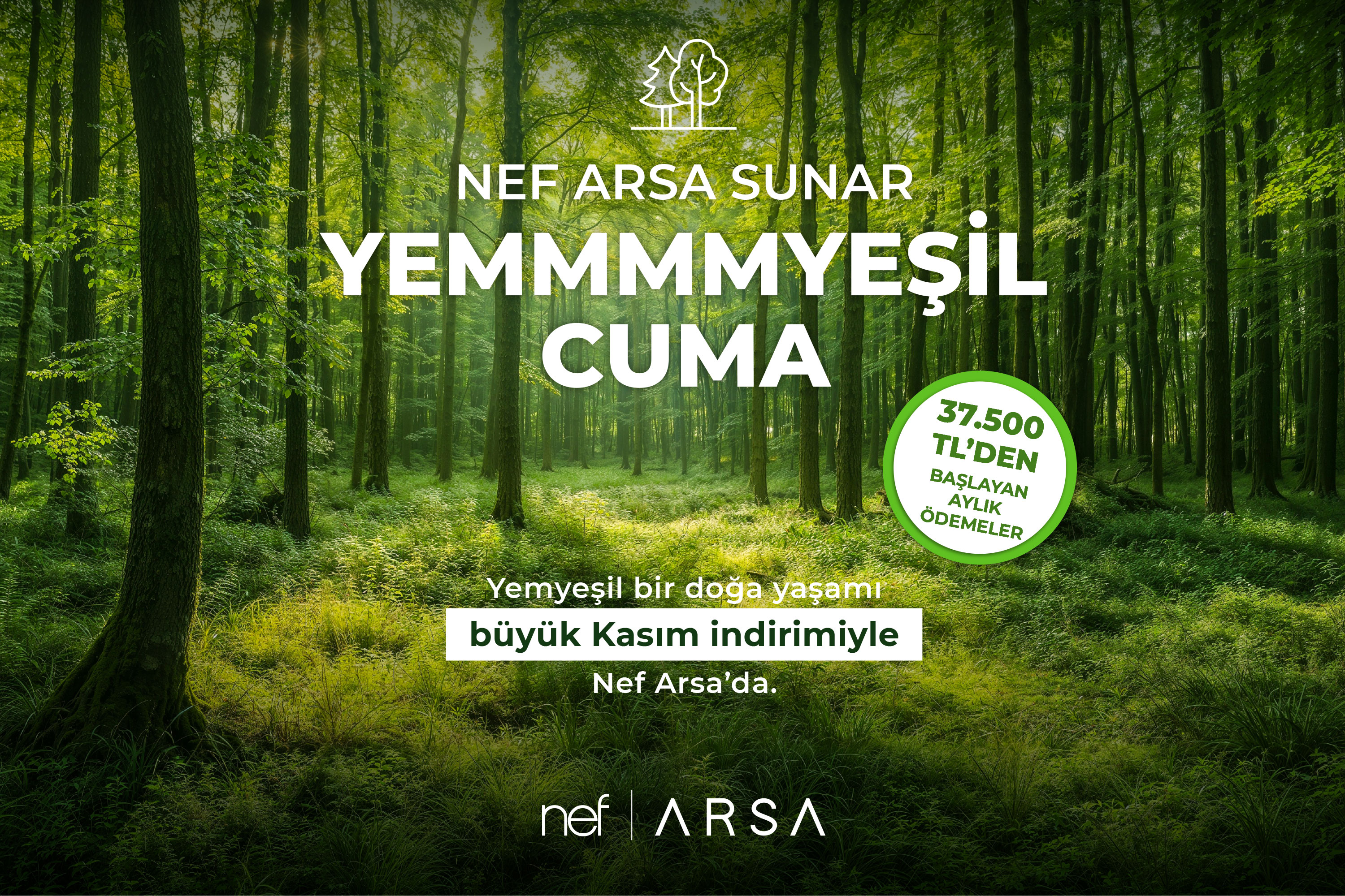 Nef Arsa Kasım Blackfriday 2
